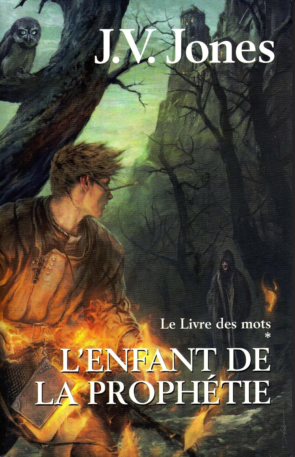 Le livre des mots - J.V. Jones | Collection L'enfant de la pro...